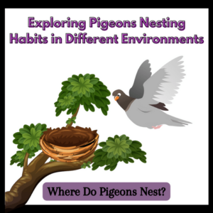 When Do Pigeons Leave The Nest? [Time and Conditions] - Pigeon Web